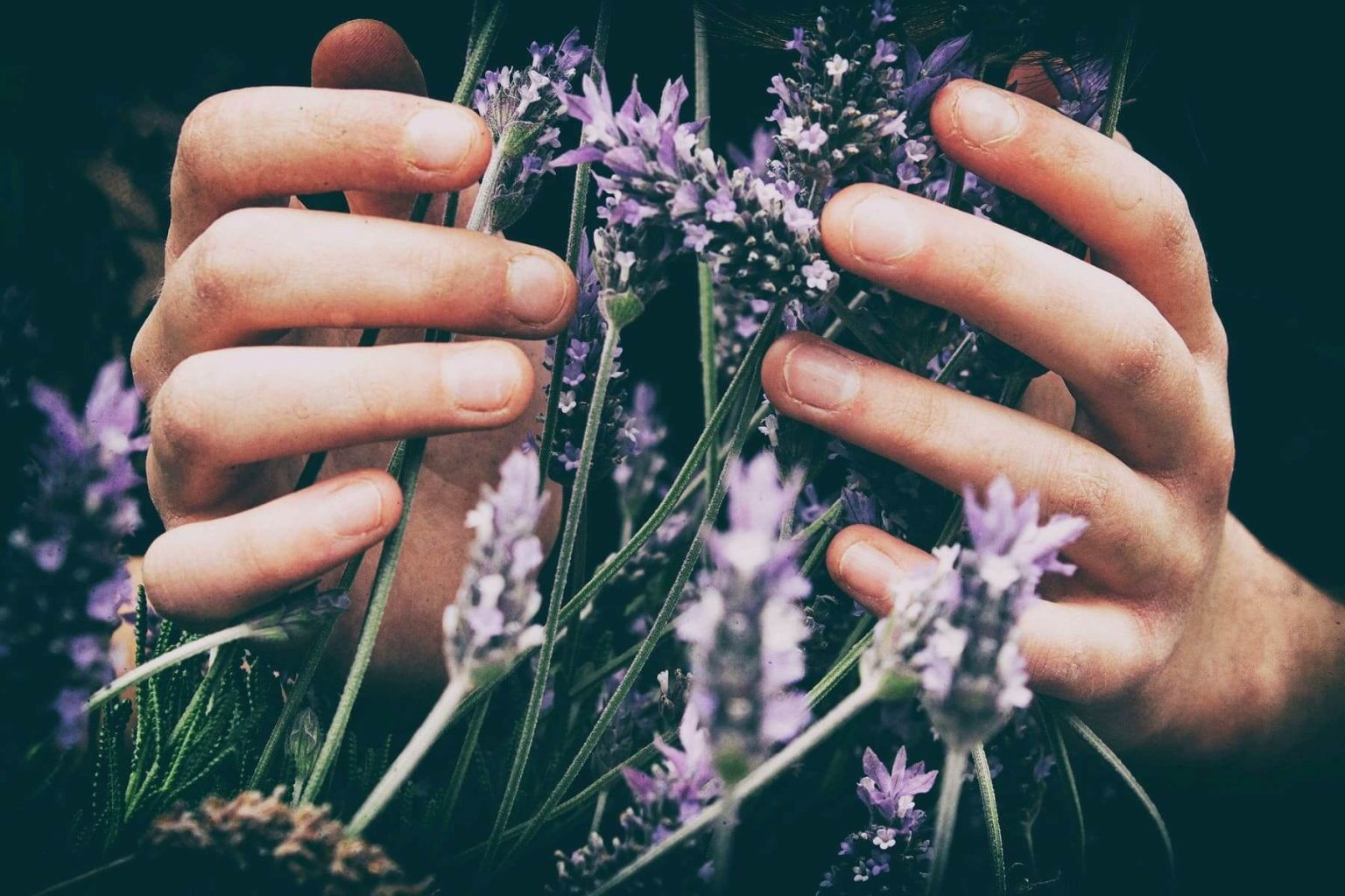 8 Strong Healing Spells – Spells for Wellness and Restoration